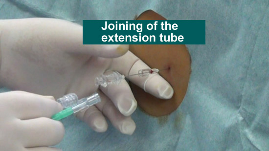 CSF JAPAN HOME PAGE | About CSF？